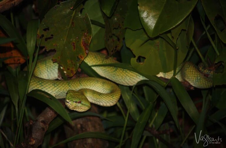 Discover Malaysian Borneo. | Vagrants Of The World Travel