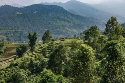 A Guide to Trekking in Sapa Vietnam - Vagrants Of The World Travel