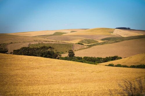 6 Best Garden Route Towns to Include on Your Itinerary