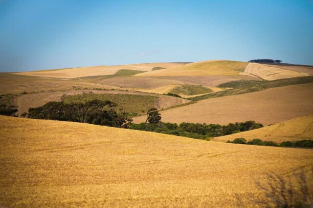 6 Best Garden Route Towns to Include on Your Itinerary