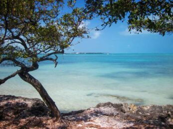 6 Beautiful & Unique Parks in Florida Keys