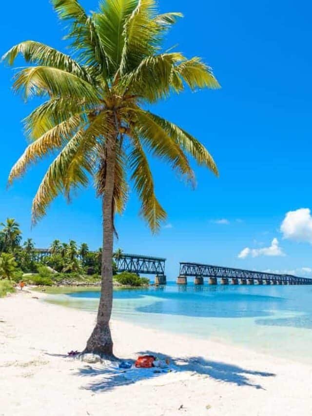 6 Beautiful & Unique Parks in Florida Keys Story | Vagrants Of The ...