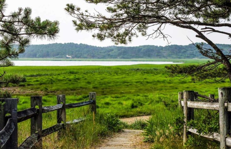 8 Mind-blowing Hikes in Cape Cod | Vagrants Of The World Travel
