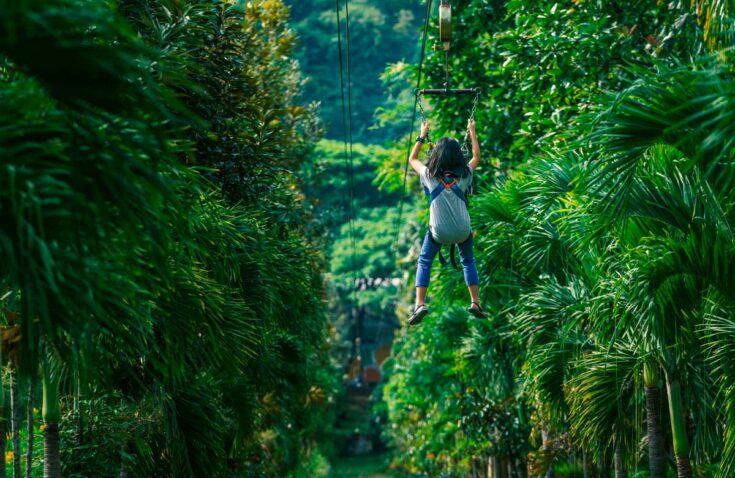 13 Best Things to do in Phuket Thailand
