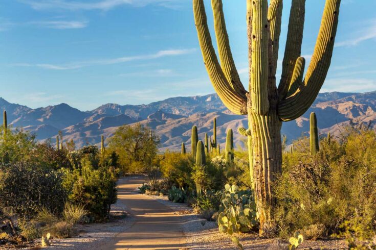 Most Beautiful Places in Arizona to Visit | Vagrants Of The World Travel