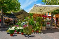 Weather in Nice, France: Month-by-Month Guide