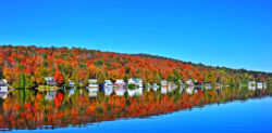 Vermont Fall Foliage: A Guide to the Best Viewing Spots (2024 ...