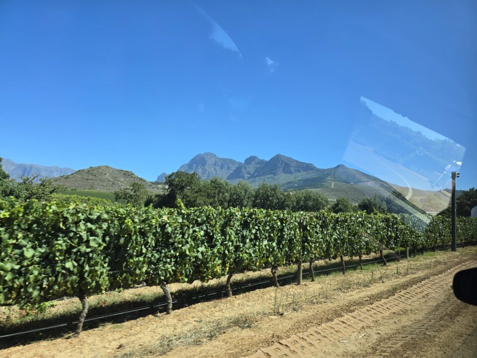 Babylonstoren South Africa: A Historic Garden and Wine Estate ...